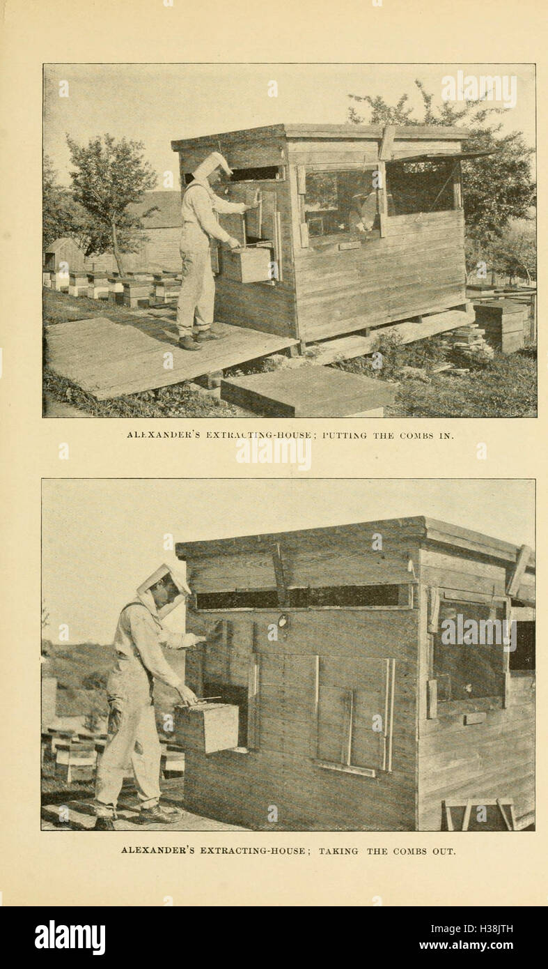 This section explores beekeeping practices, offering fundamental ...