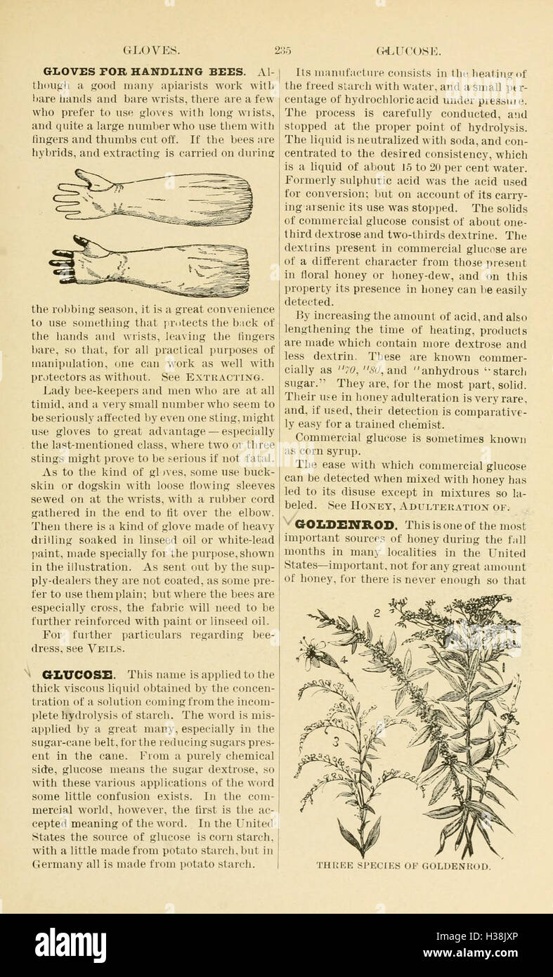 This guide provides an in-depth look at beekeeping practices, including ...