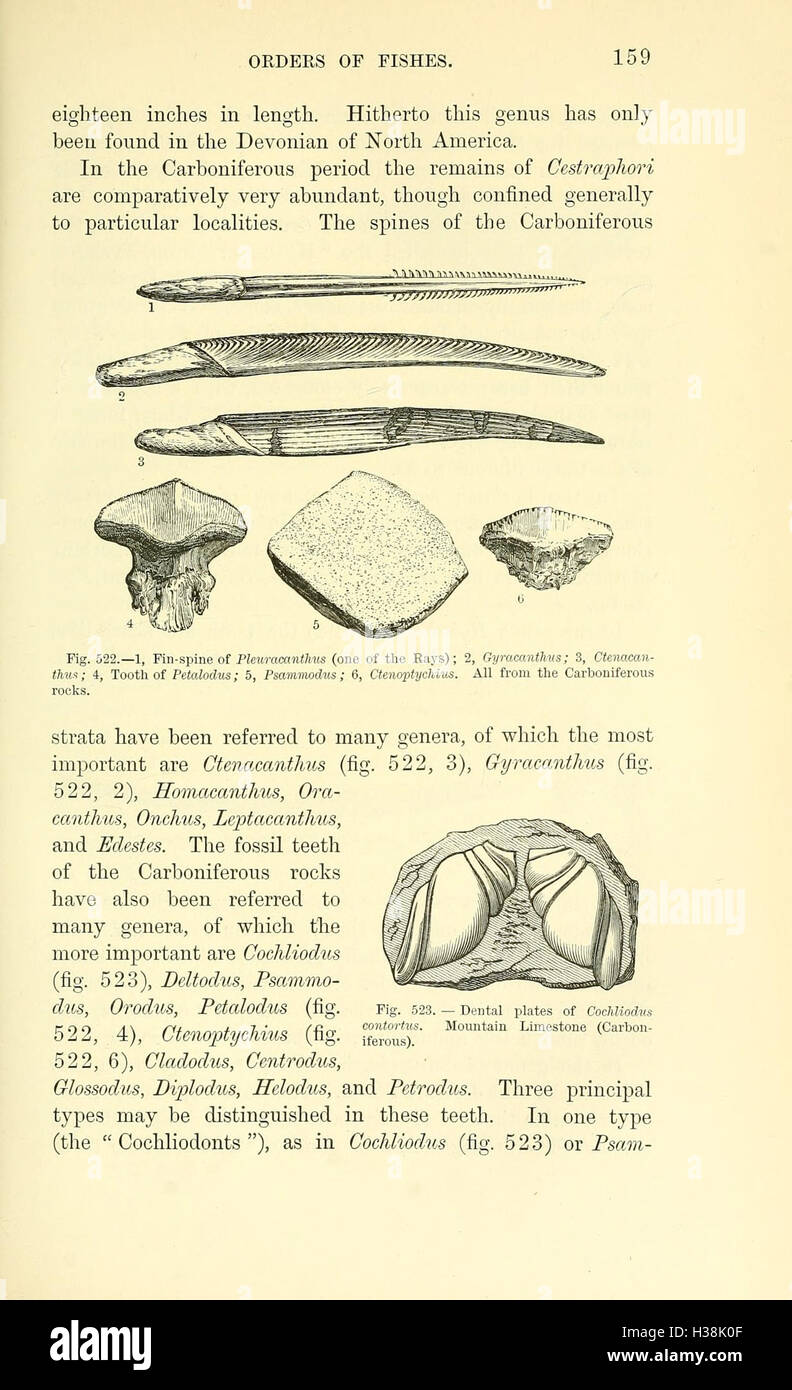 A comprehensive manual designed to teach students about paleontology ...