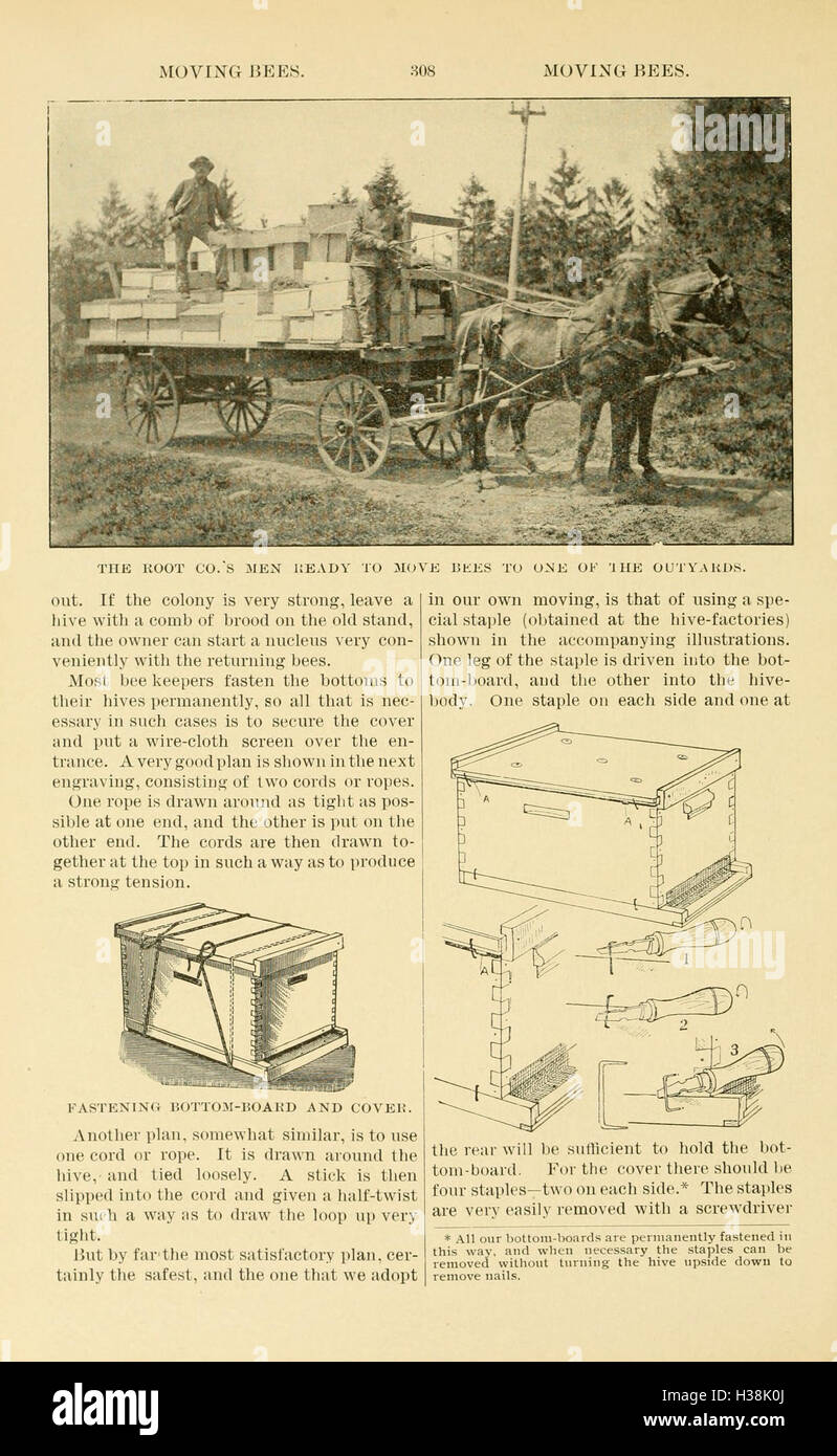 This book provides an introductory guide to bee culture, covering ...