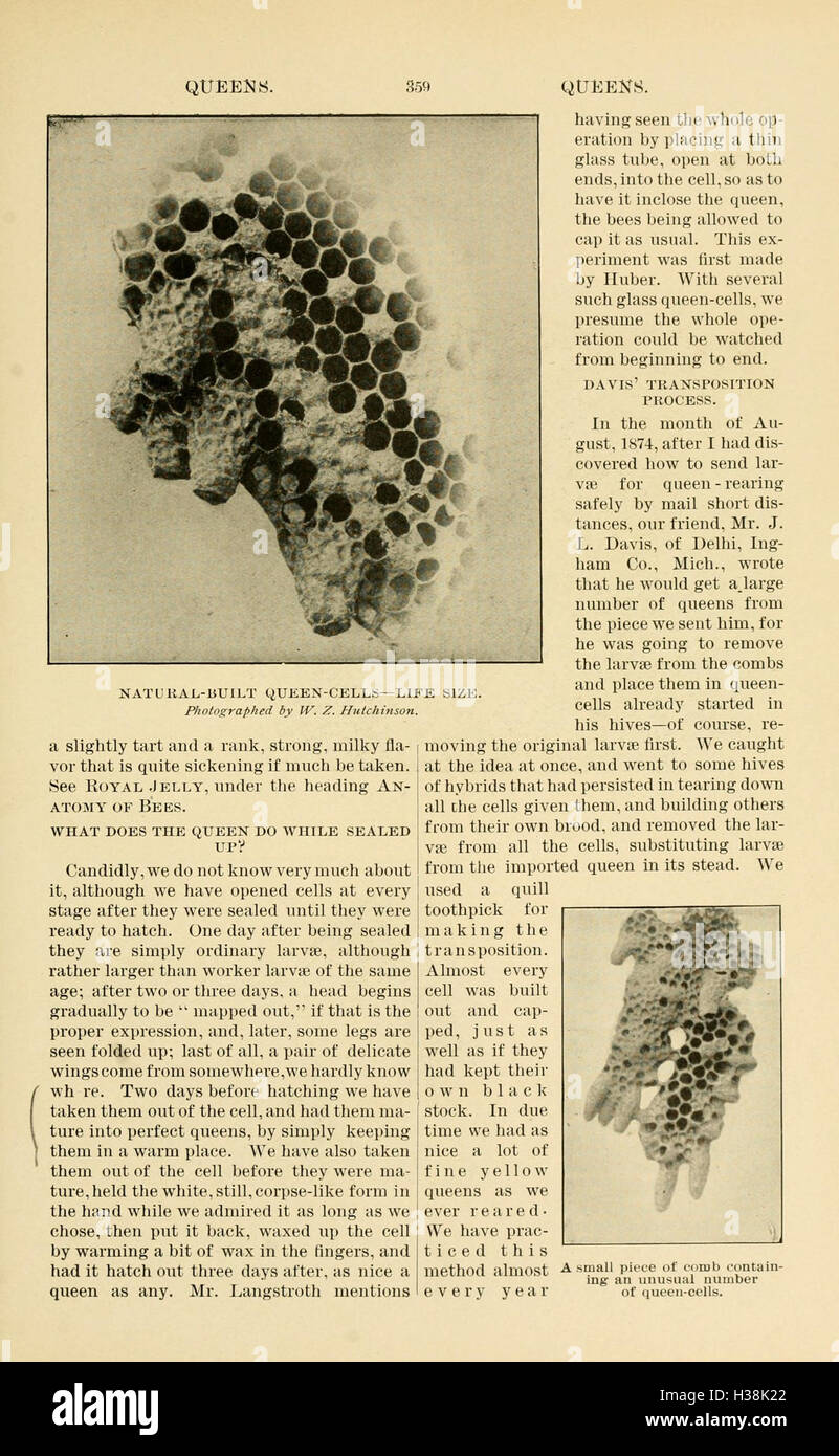 This comprehensive guide provides fundamental knowledge on bee culture ...