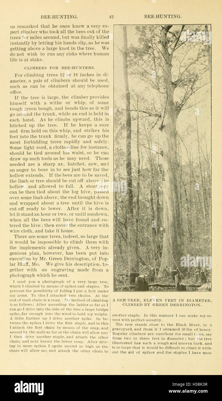 This work provides a detailed overview of bee culture, covering both ...