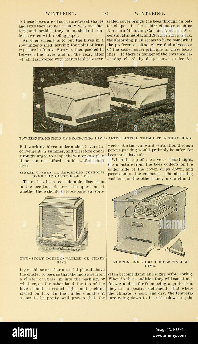 'The ABC and XYZ of Bee Culture' is a comprehensive guide to beekeeping ...