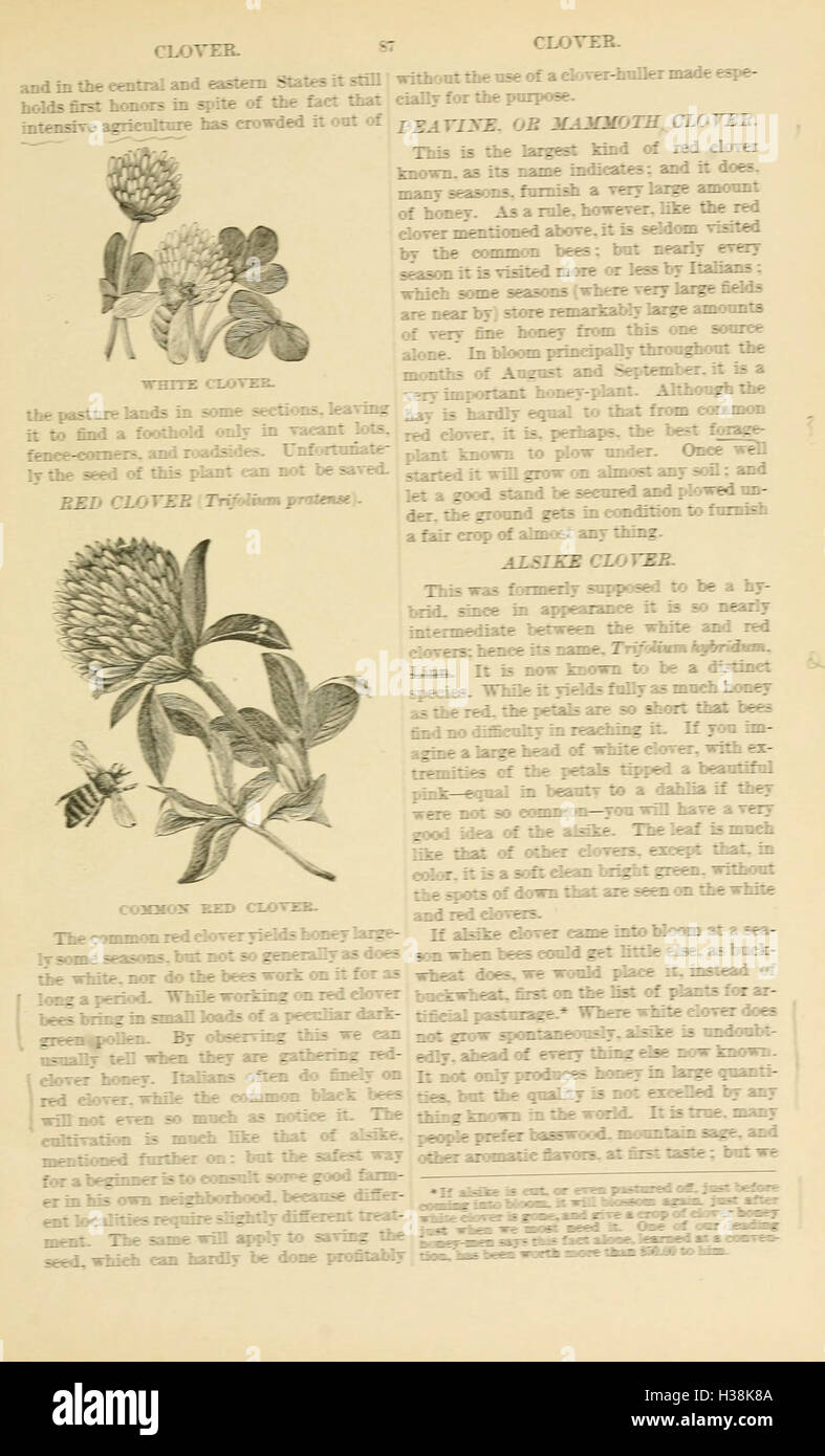 This guide introduces key concepts in beekeeping, covering the basics ...