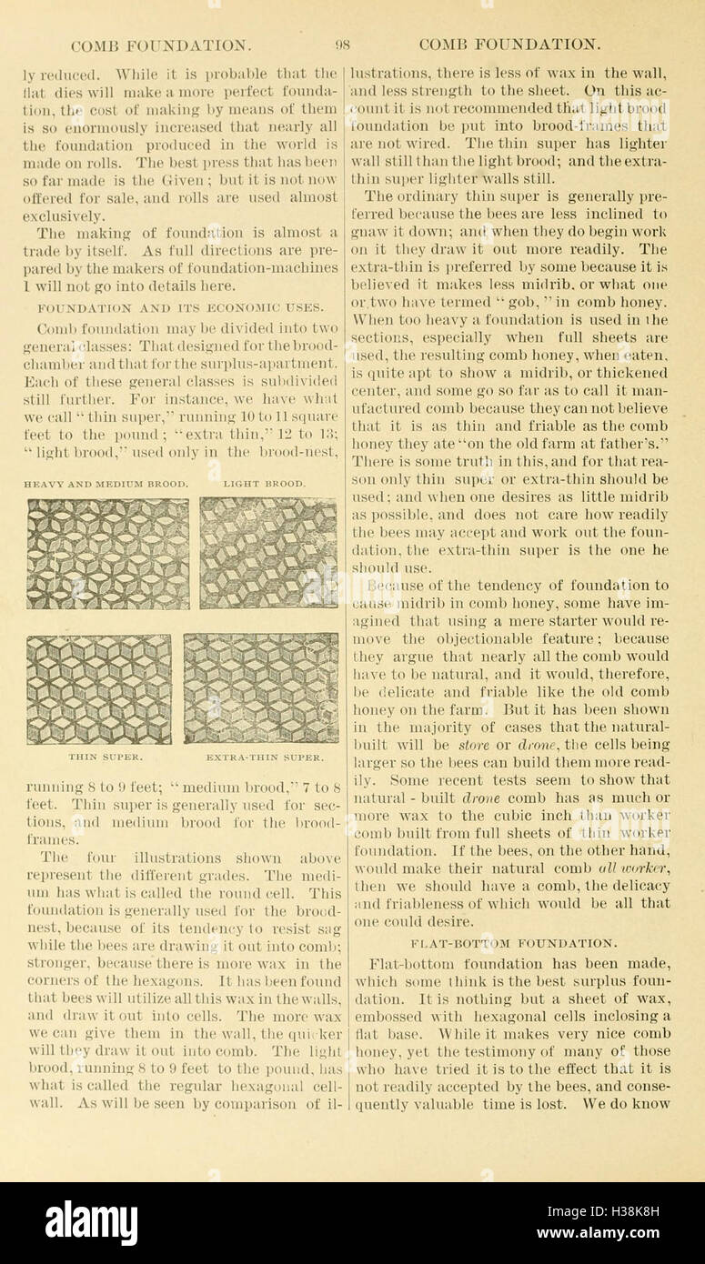 This guide to bee culture provides essential knowledge on the care ...