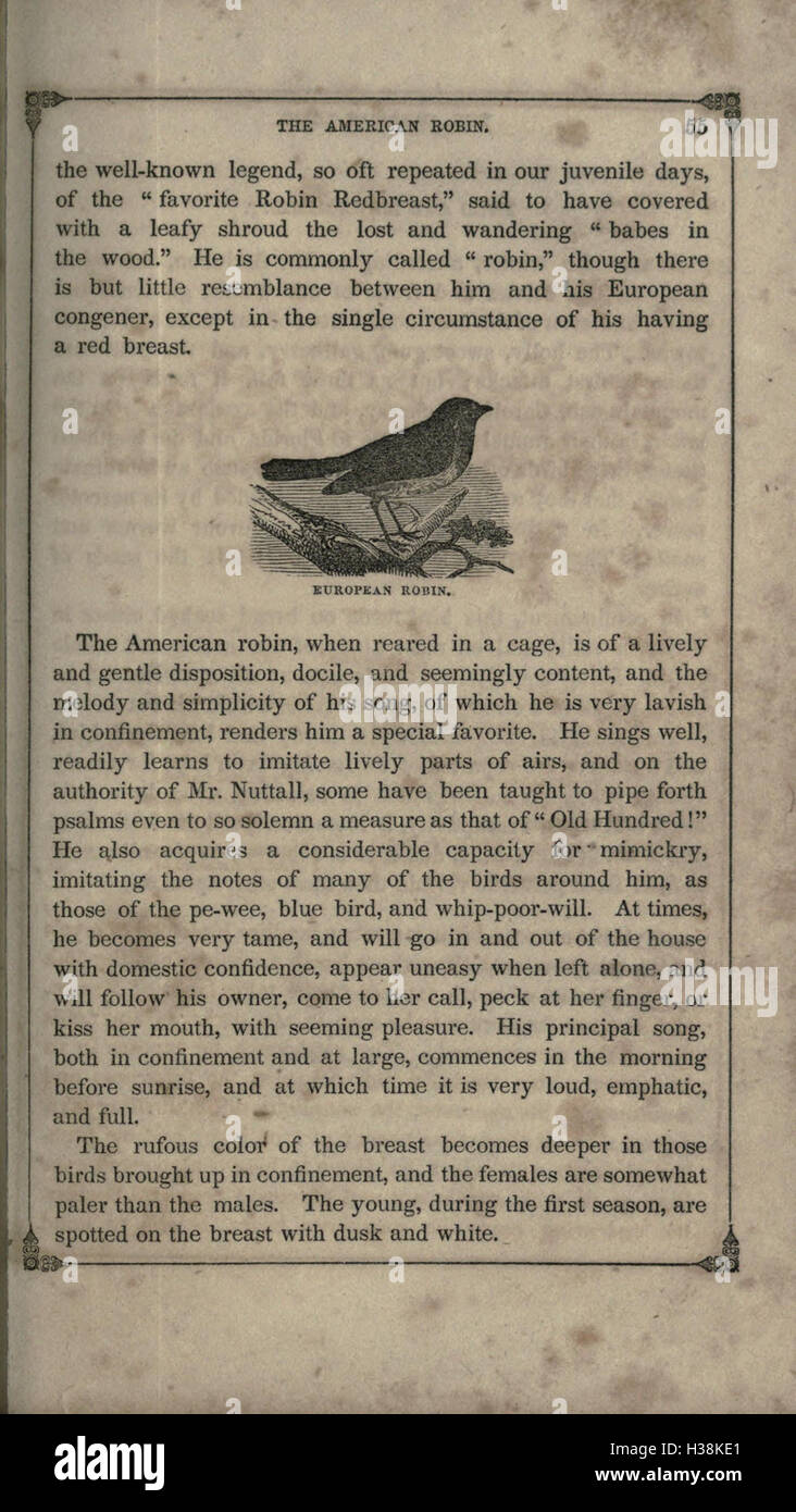 This work provides guidance for American bird enthusiasts on bird care ...