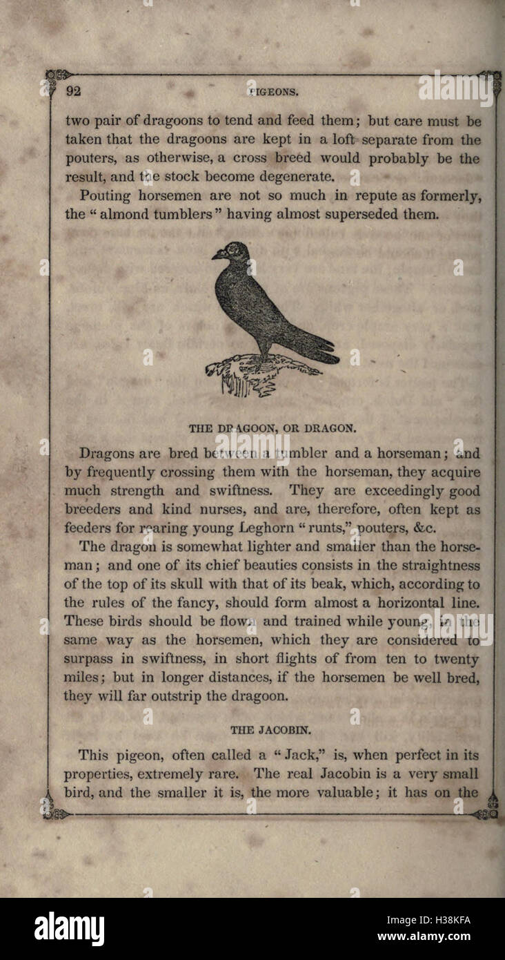 This book offers a guide to the care and breeding of various species of ...