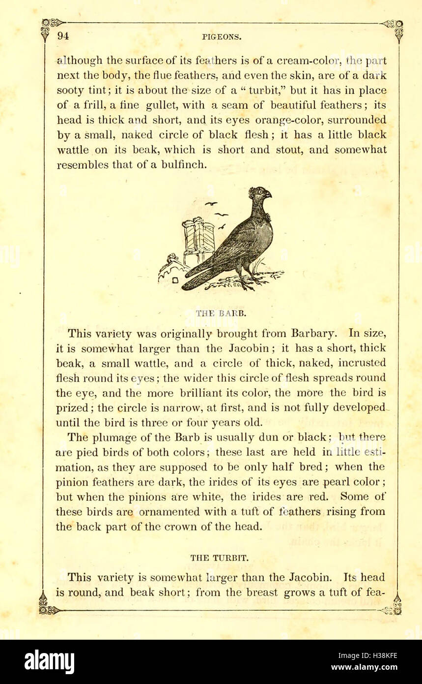 This book covers the care and breeding of birds in America, focusing on ...