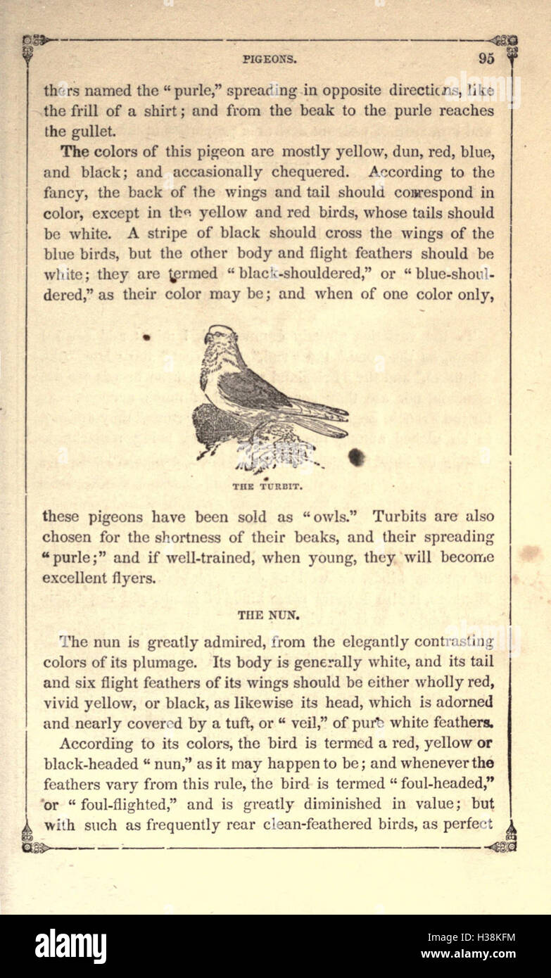 This book covers the care, breeding, and exhibition of various bird ...