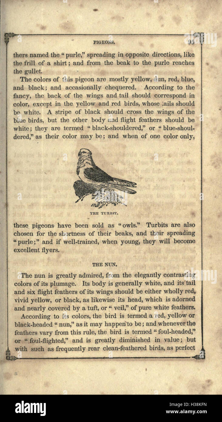 This book offers practical advice on breeding and caring for American ...