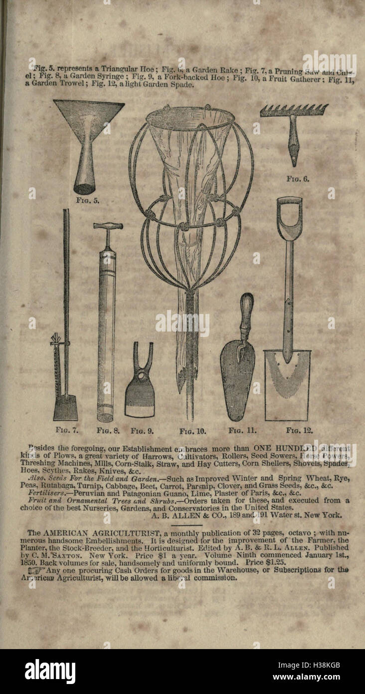 A guide to bird keeping, focusing on American bird species. It covers ...