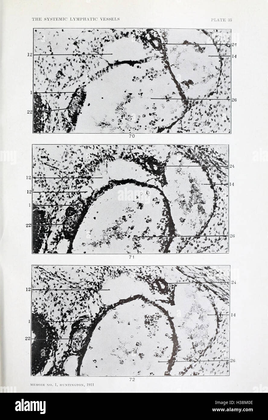 Research outlines structure development hi-res stock photography and ...