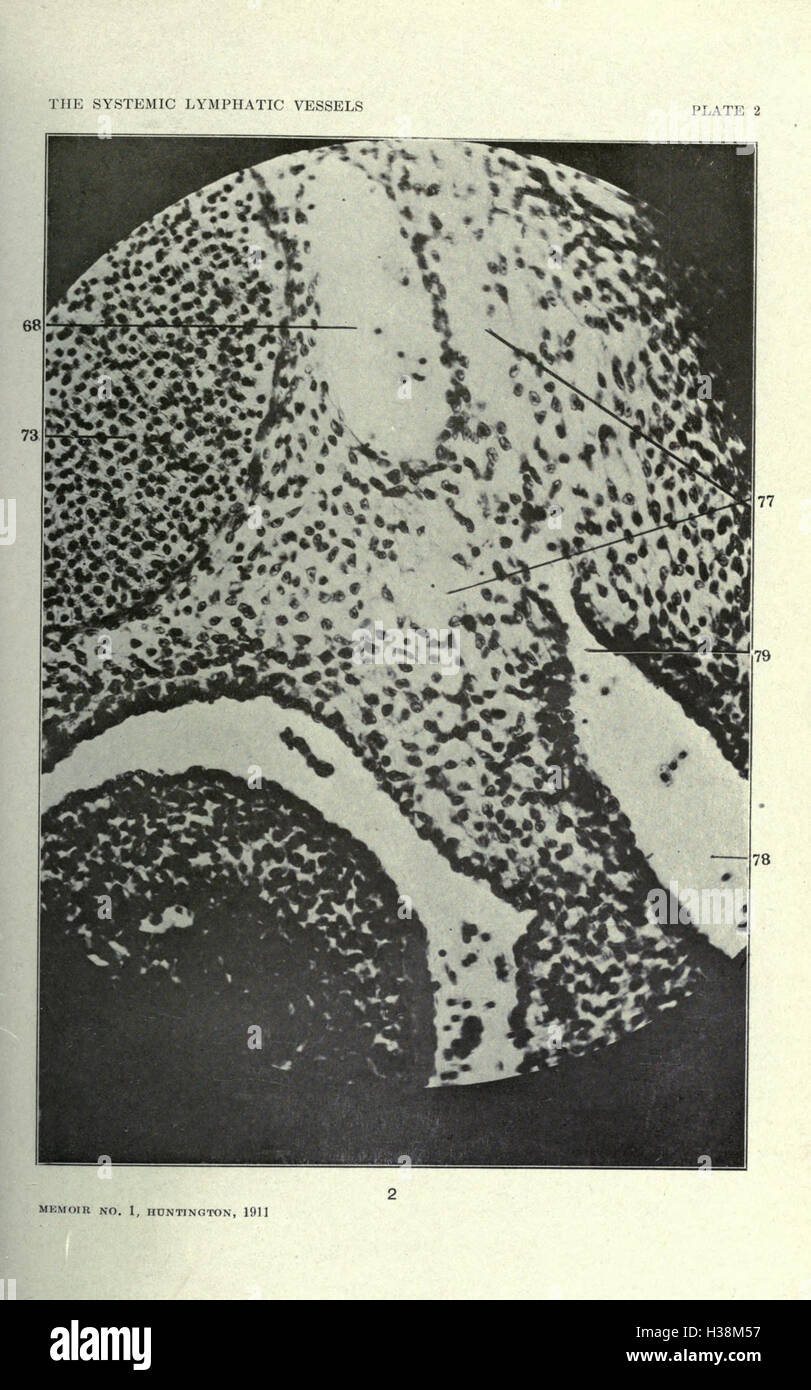 This text examines the anatomy and development of the systemic ...