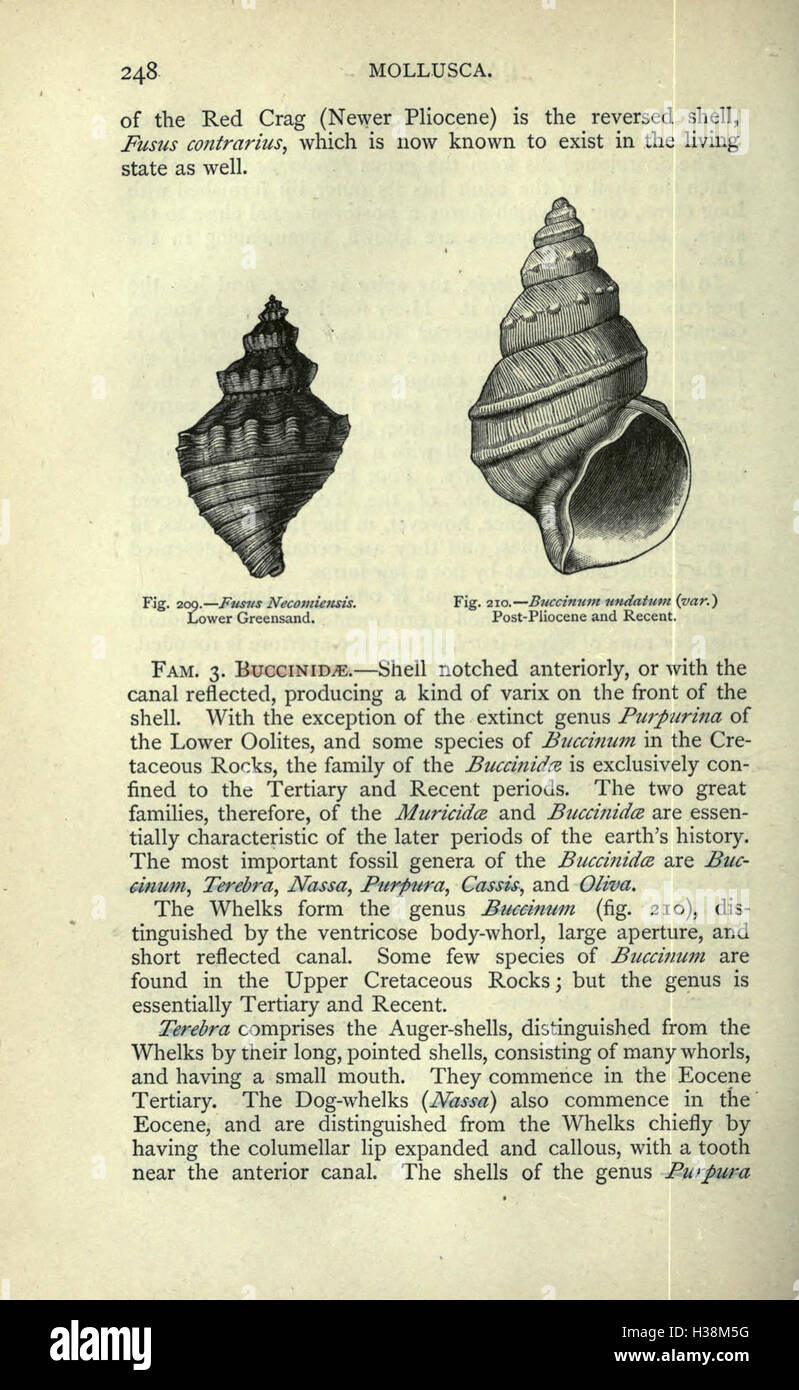 This manual is designed for students studying paleontology, offering an ...
