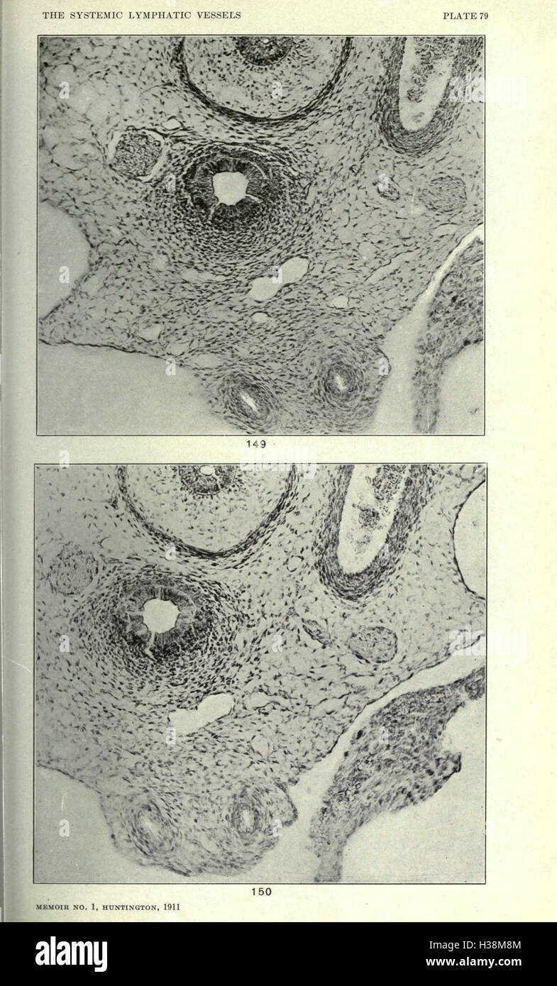 This work examines the anatomy and development of the systemic ...