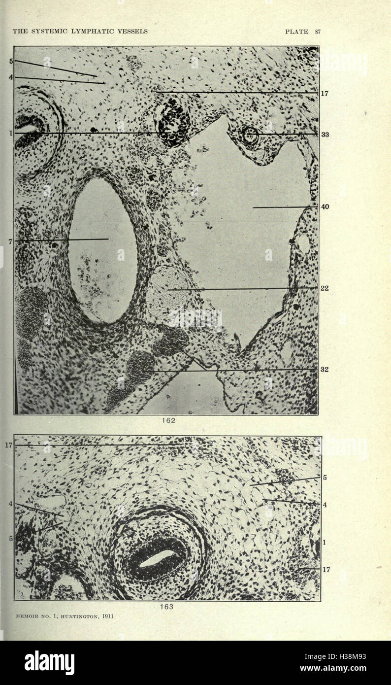A scientific study on the anatomy and development of the systemic ...