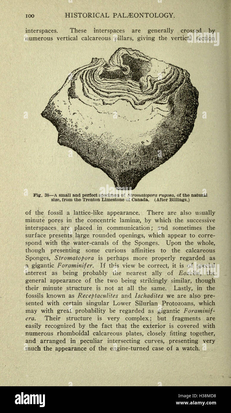 This resource provides an overview of Earth's ancient life history ...