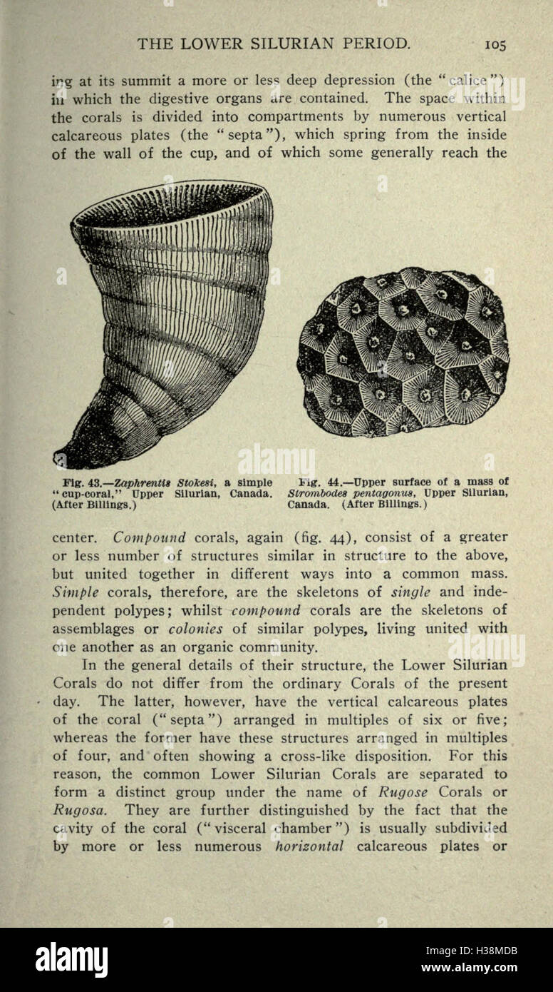 This work examines the geological and biological history of Earth ...