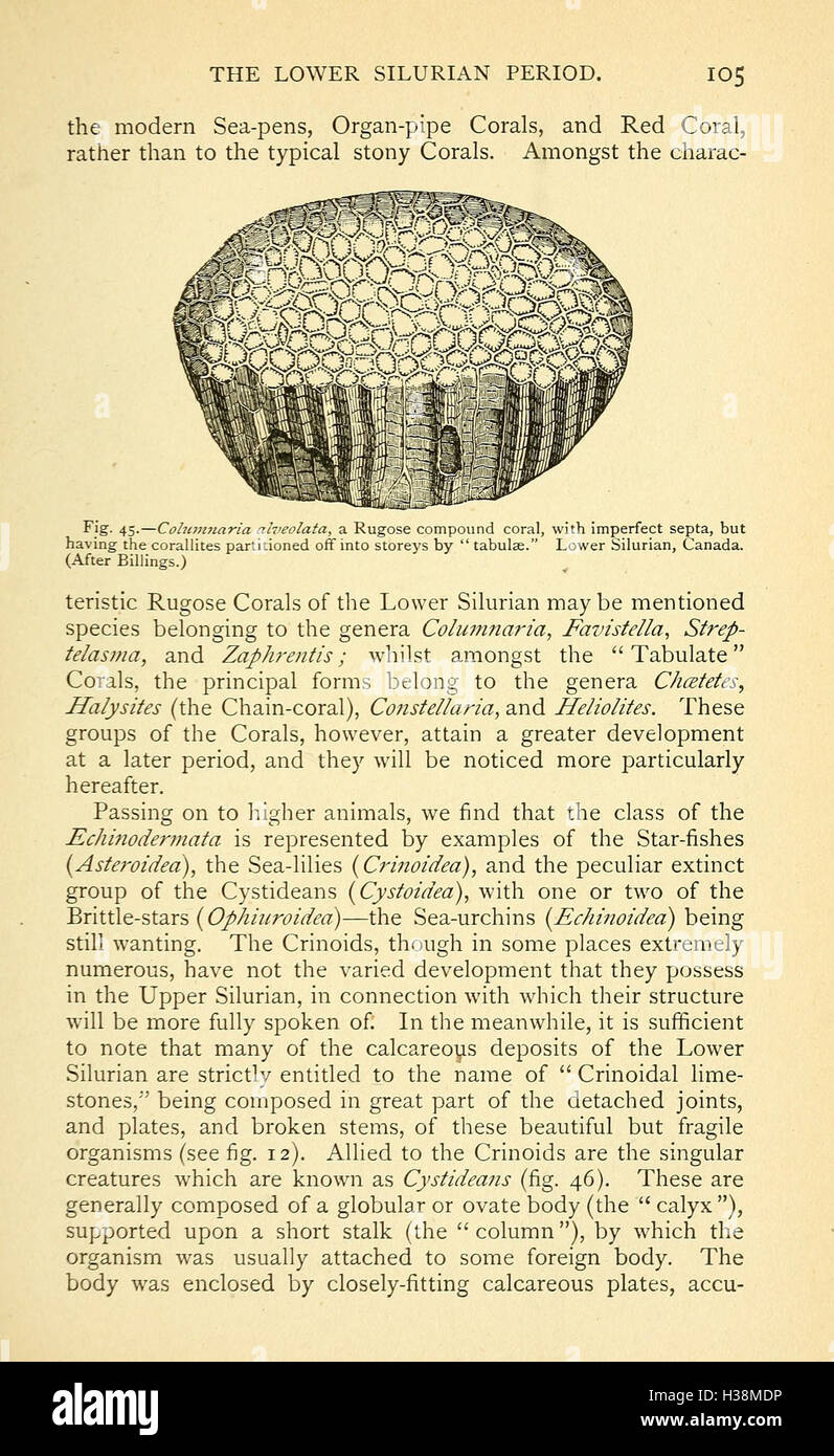 Page 105 outlines key events in the Earth's ancient life history ...