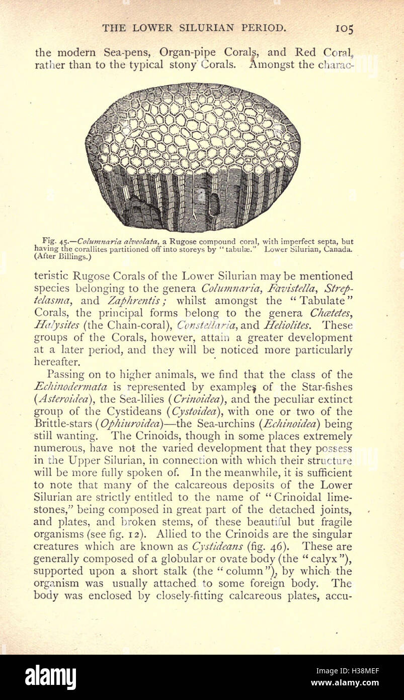 This work discusses the geological and biological history of Earth ...