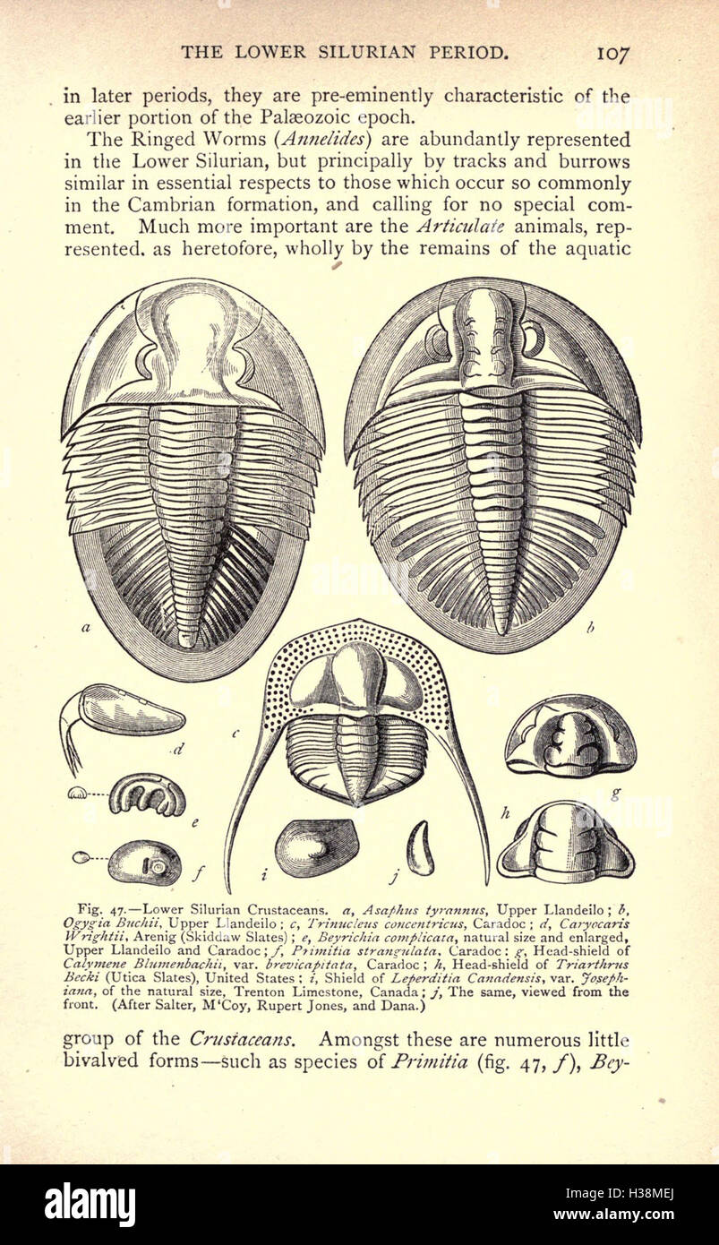 This work delves into Earth's ancient history, focusing on the ...