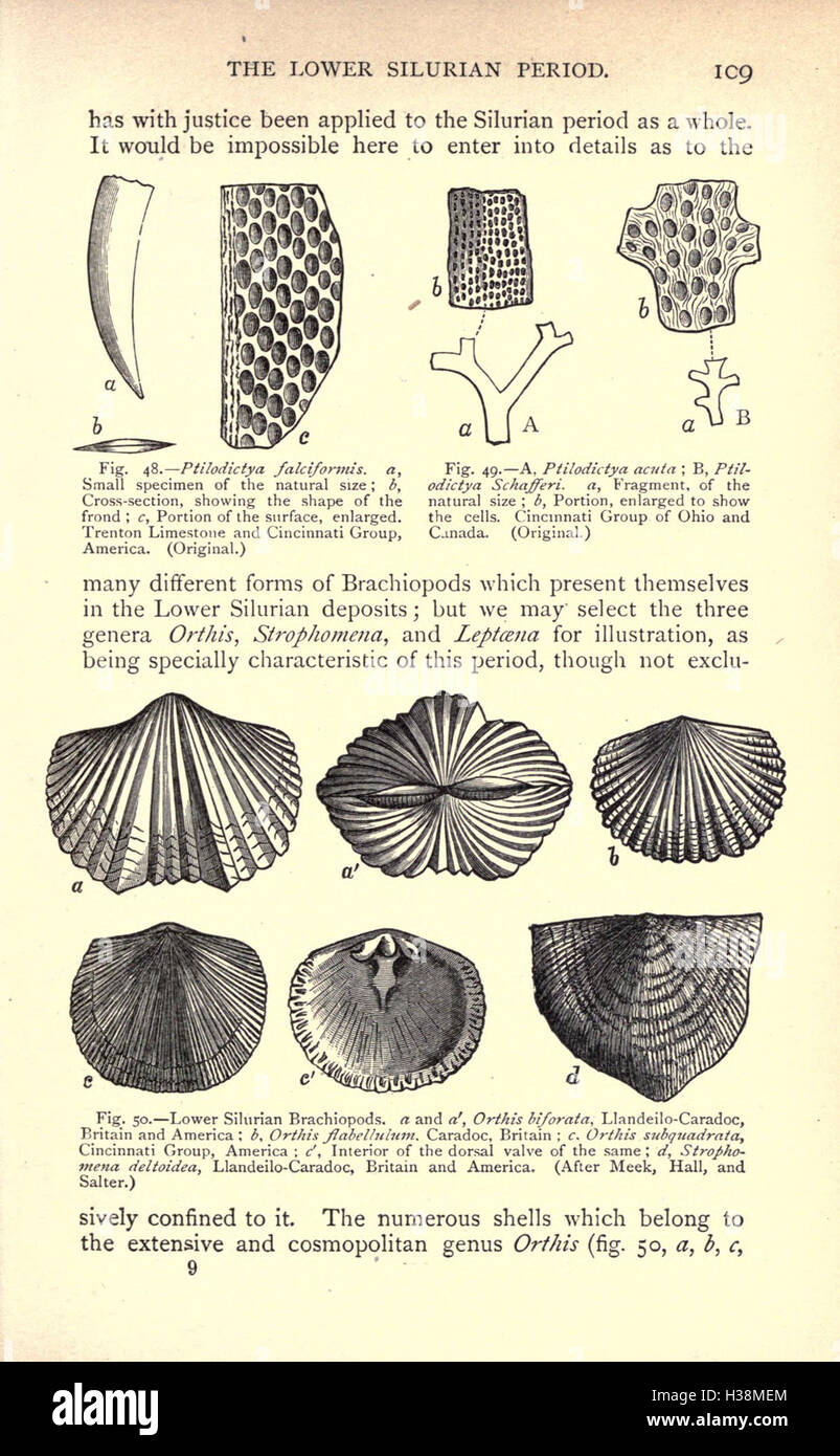 Earths ancient biological diversity hi-res stock photography and images ...