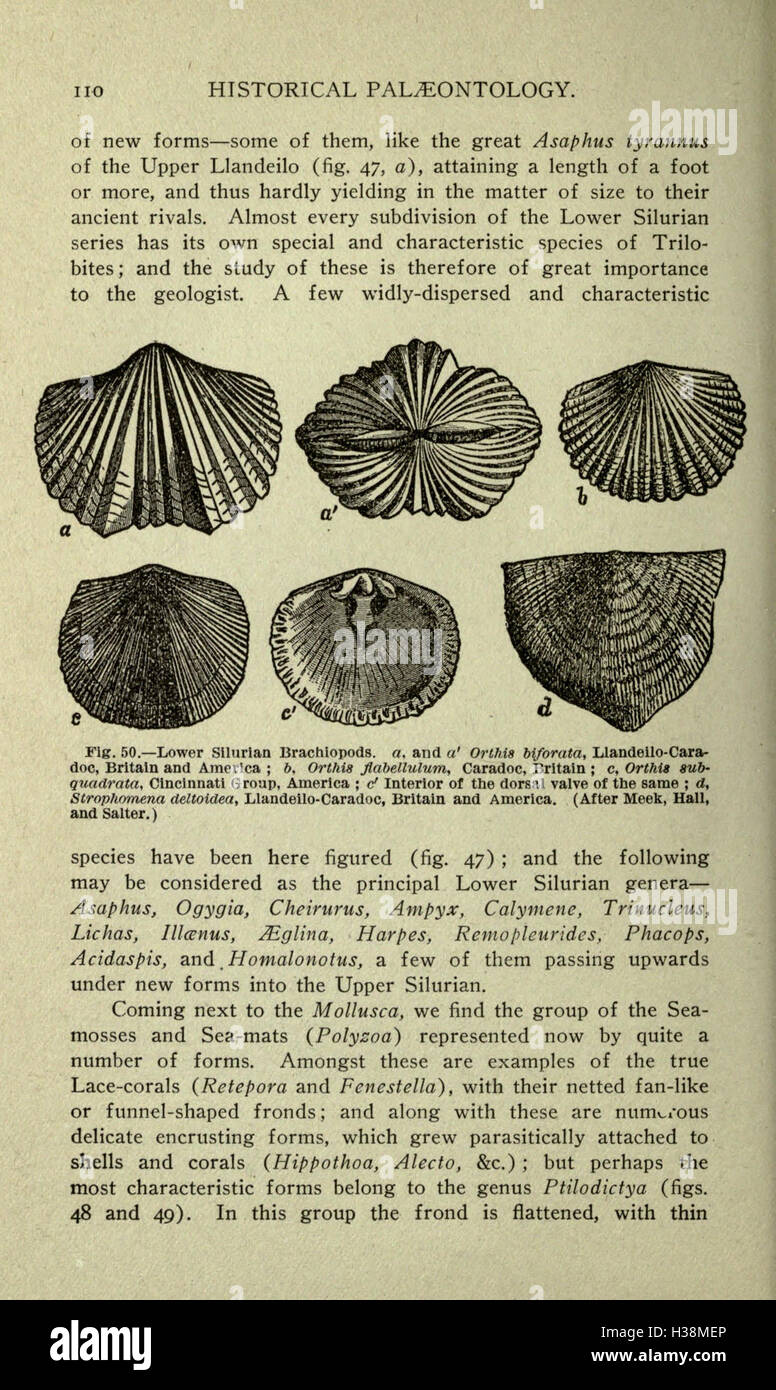 This work explores the geological and biological evolution of Earth ...