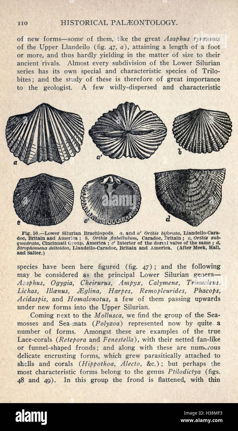 This work examines the geological history of Earth, tracing the ...
