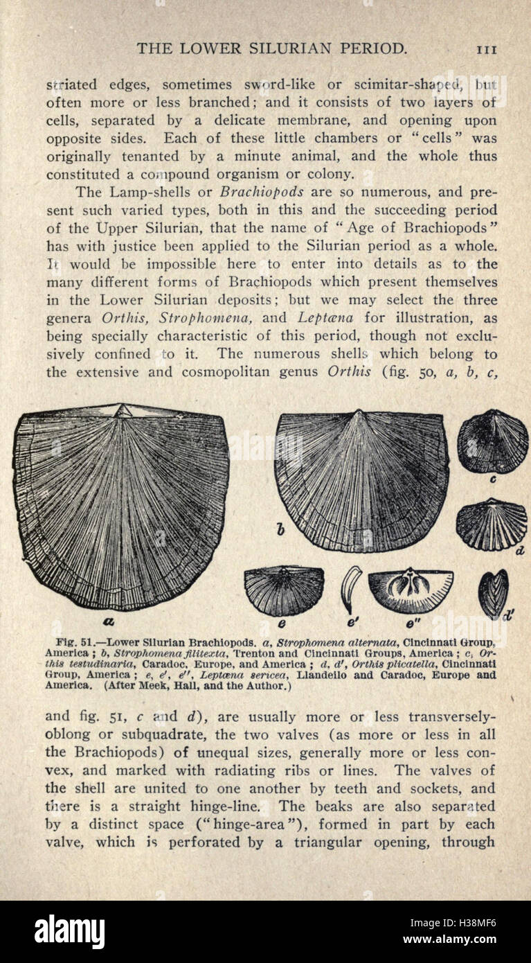 This text explores Earth's early life history, focusing on the ...