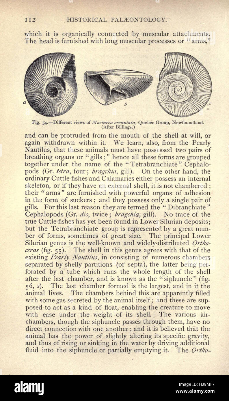 An exploration of Earth’s geological and biological history, examining ...