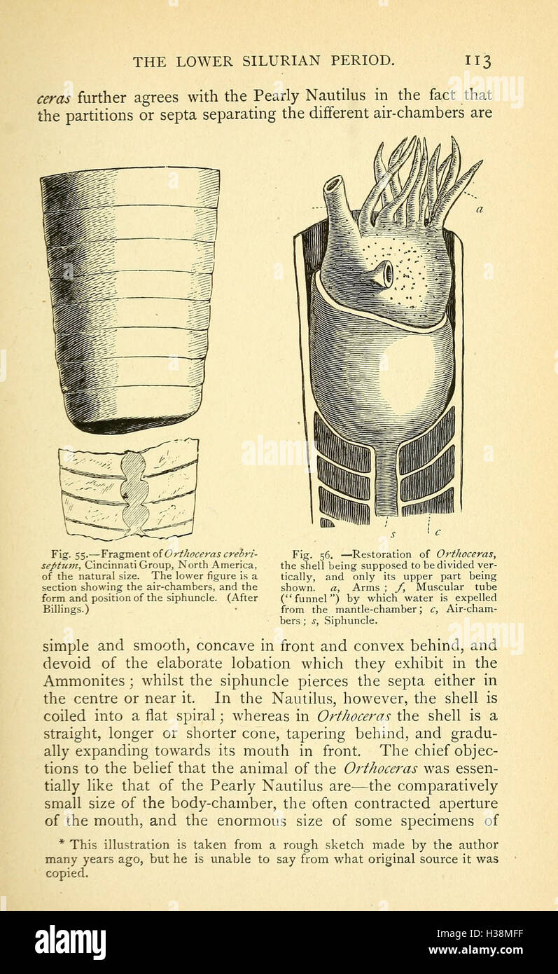 This work explores the history of Earth’s ancient life forms, detailing ...