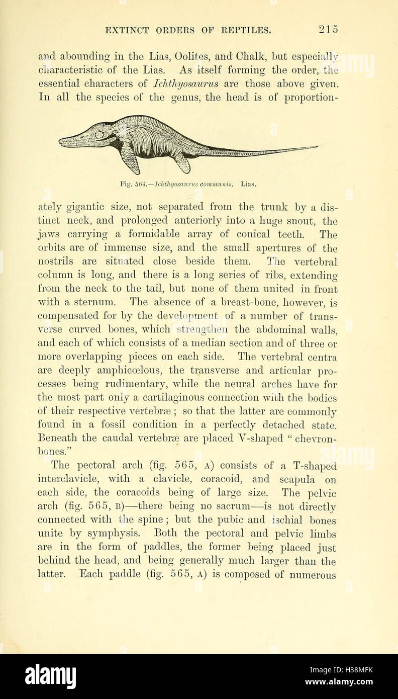 This manual serves as a comprehensive guide for students studying paleontology, covering fossil ...