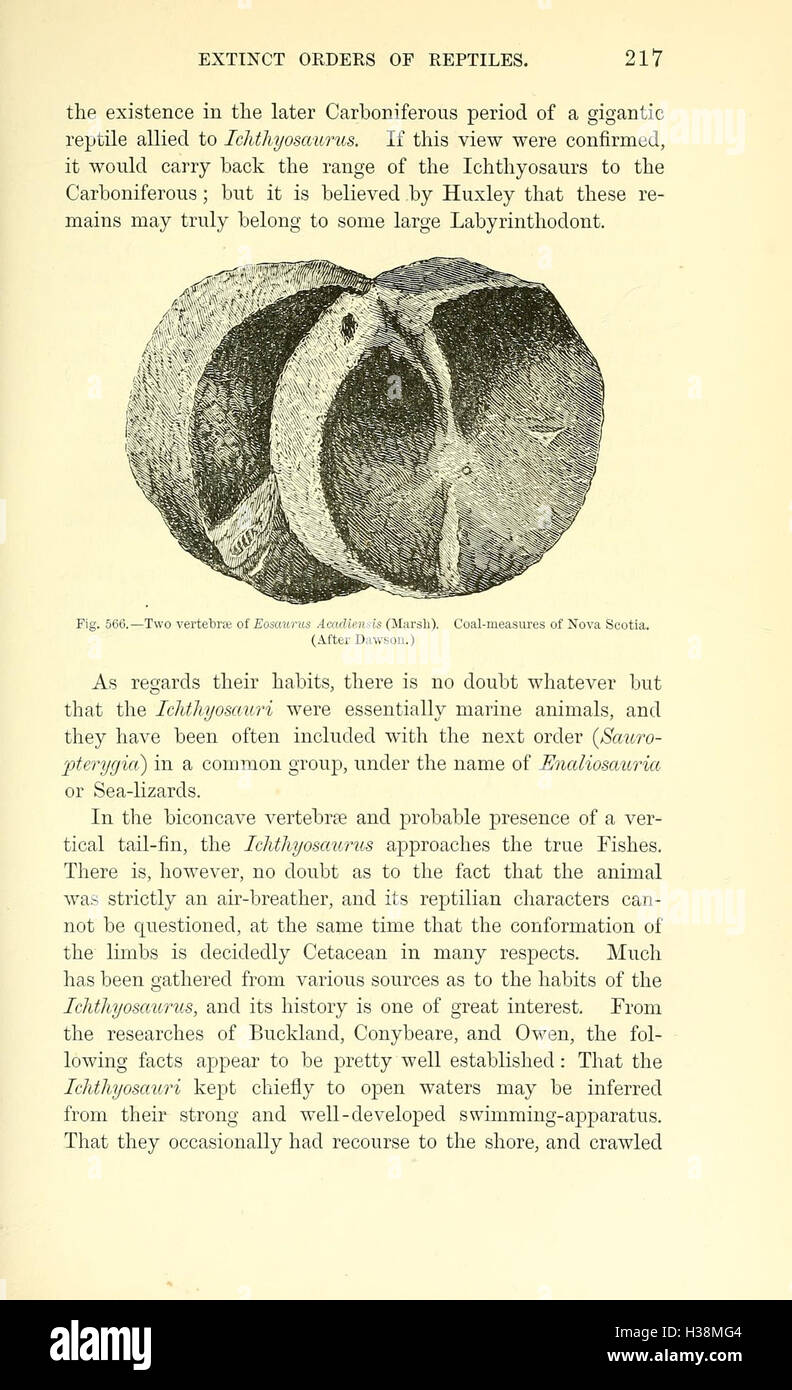 This manual serves as a guide to paleontology, offering students an ...