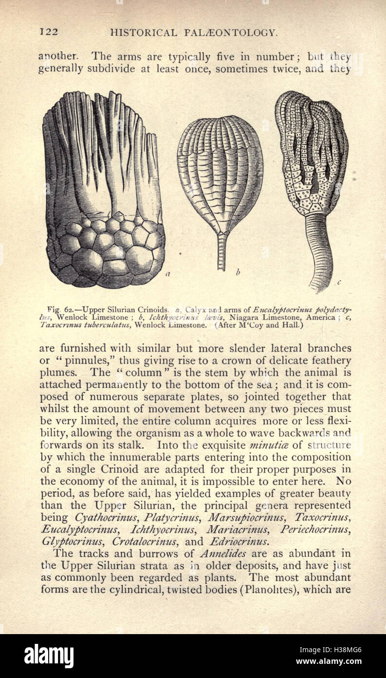 This work explores the development of life on Earth through geological ...