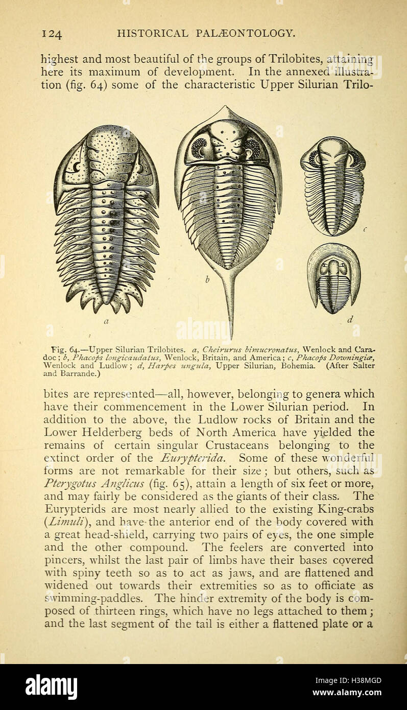 This page explores the geological and biological history of the Earth ...
