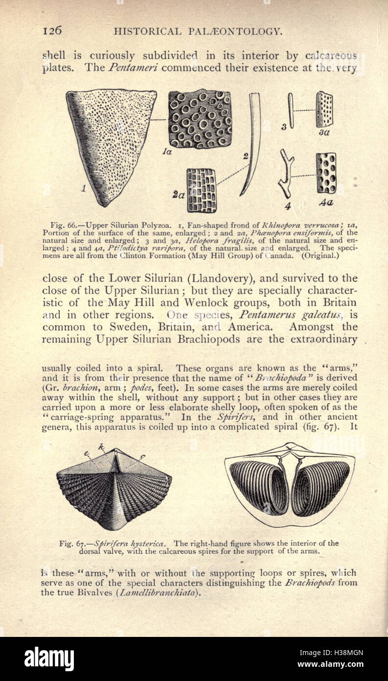 This work delves into Earth's ancient life history, exploring the ...