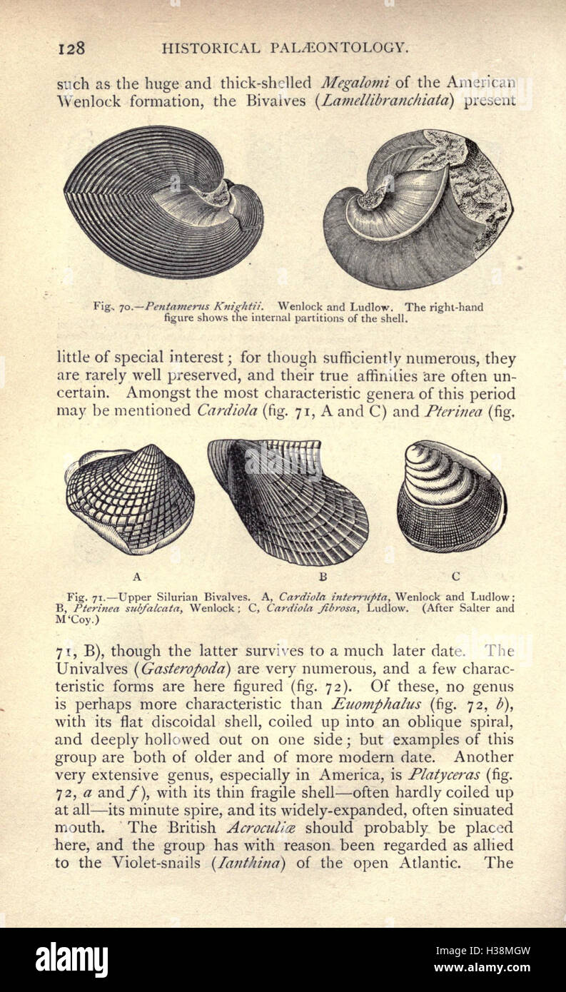 A detailed exploration of Earth's geological and biological history ...