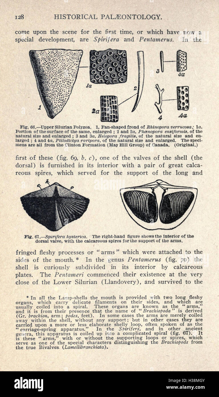 This book explores Earth's ancient life-history, detailing the ...