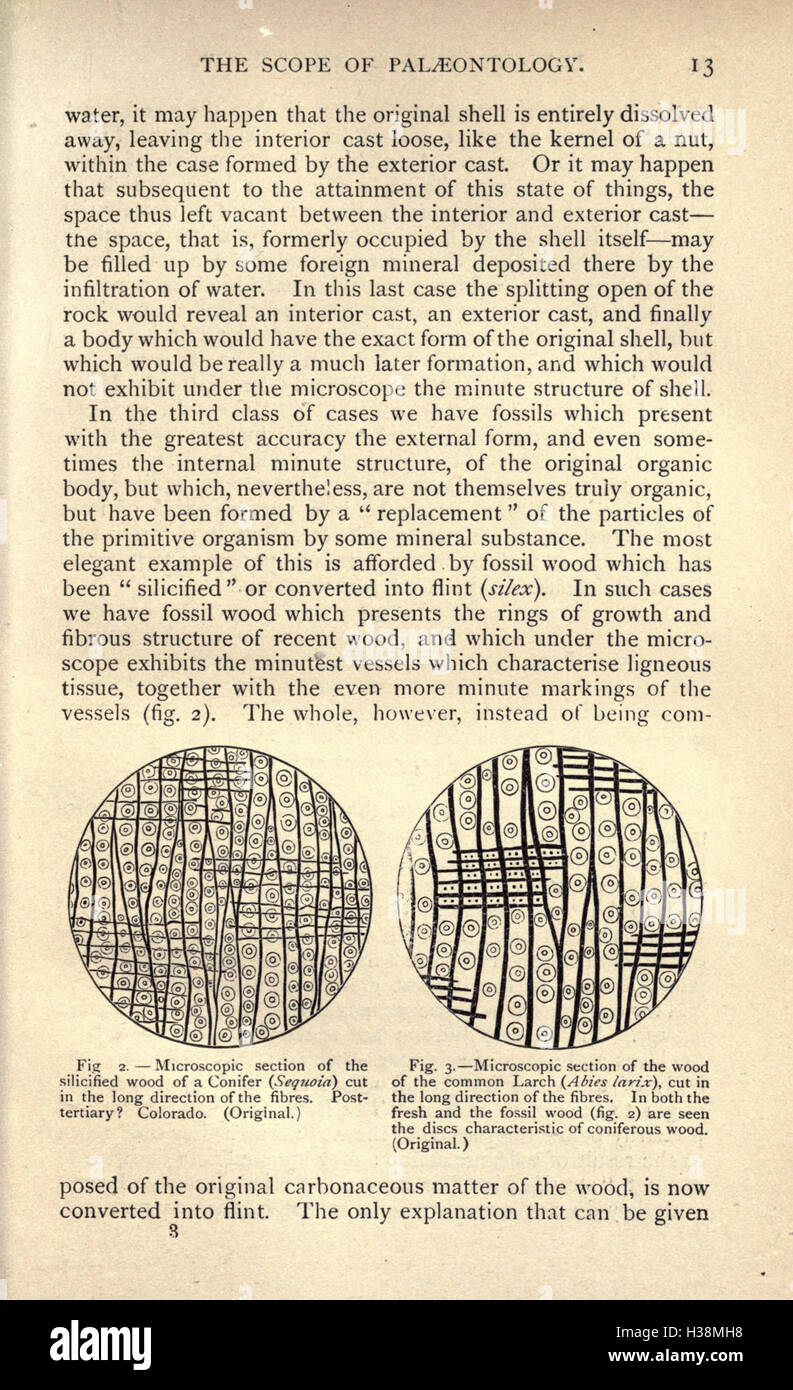 This page provides an overview of Earth’s ancient life-history ...