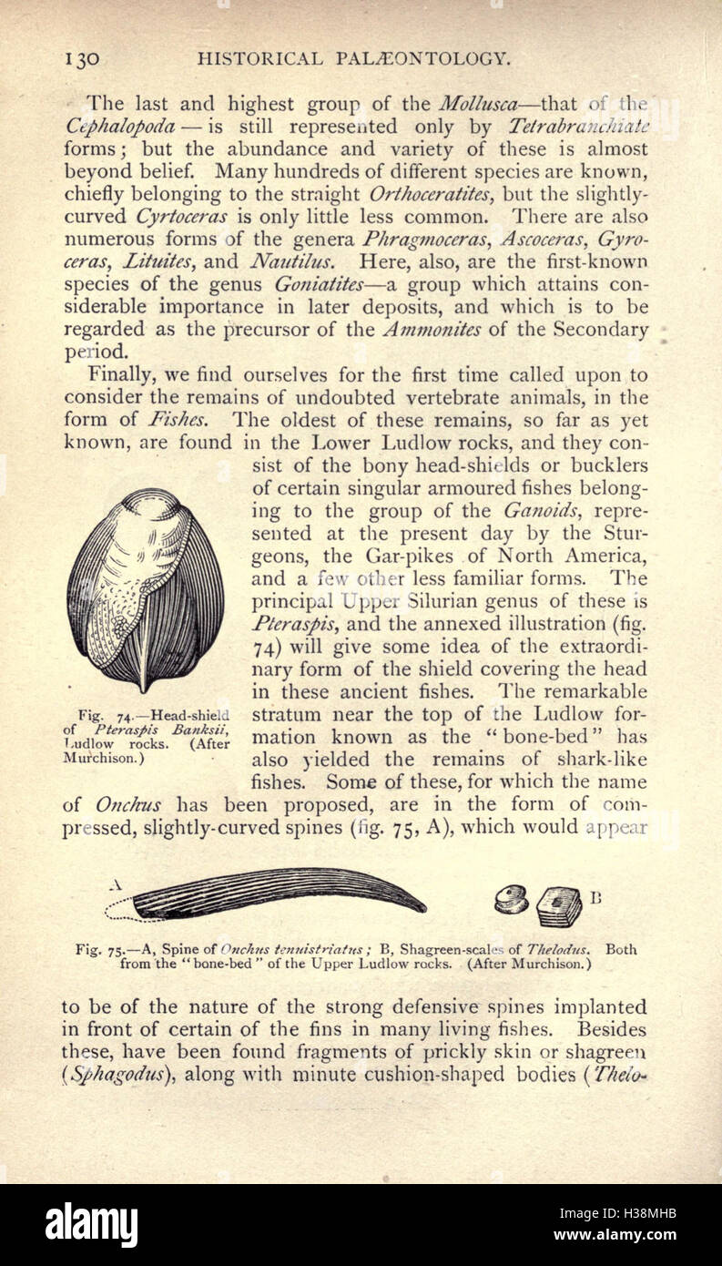 This section outlines the geological history of Earth, focusing on key ...