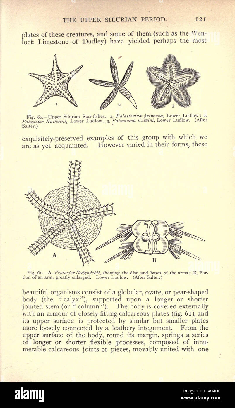 This work explores the ancient life-history of Earth, focusing on major ...