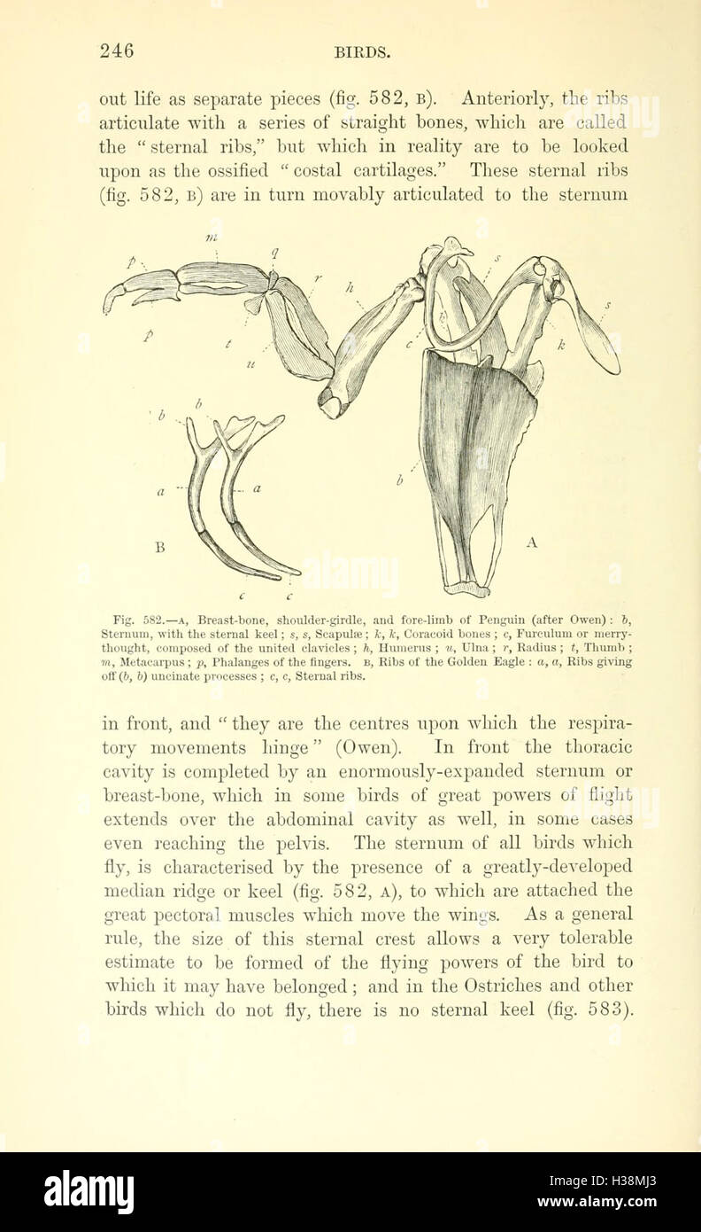 This manual provides an introduction to paleontology, offering a guide ...