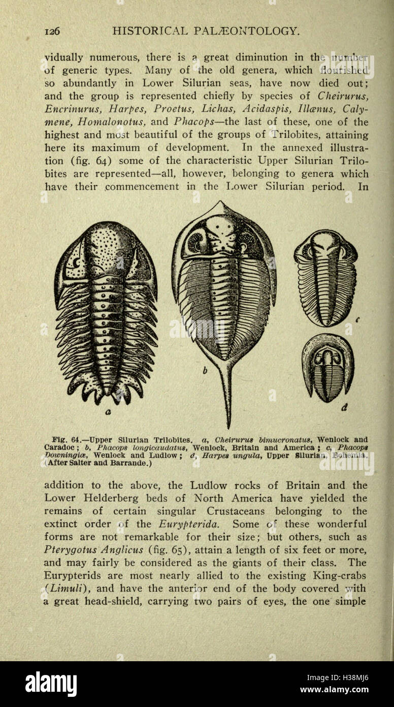 This work explores the geological and biological history of Earth ...