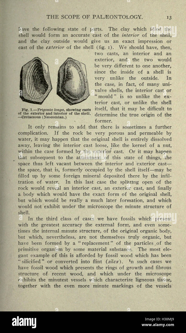 This text outlines the history of life on Earth, from the earliest ...