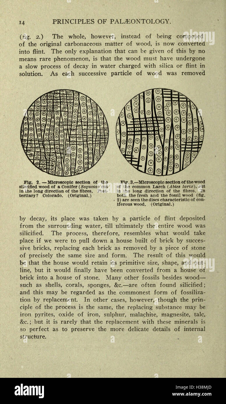 An exploration of Earth's early geological history, examining the ...
