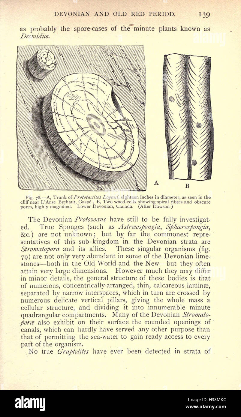 This text explores the history of Earth's life forms, focusing on key ...