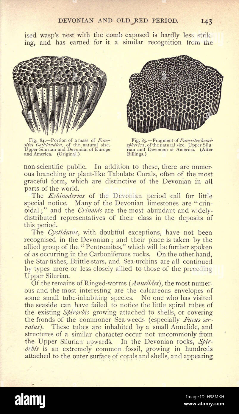 This book outlines the geological and biological history of Earth ...