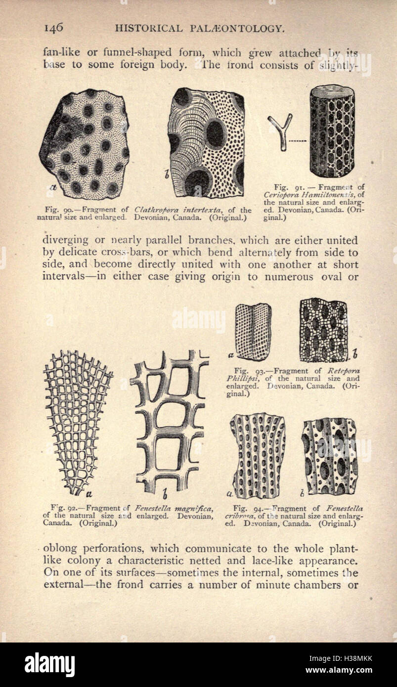 This page discusses the major stages of Earth's life history, including ...