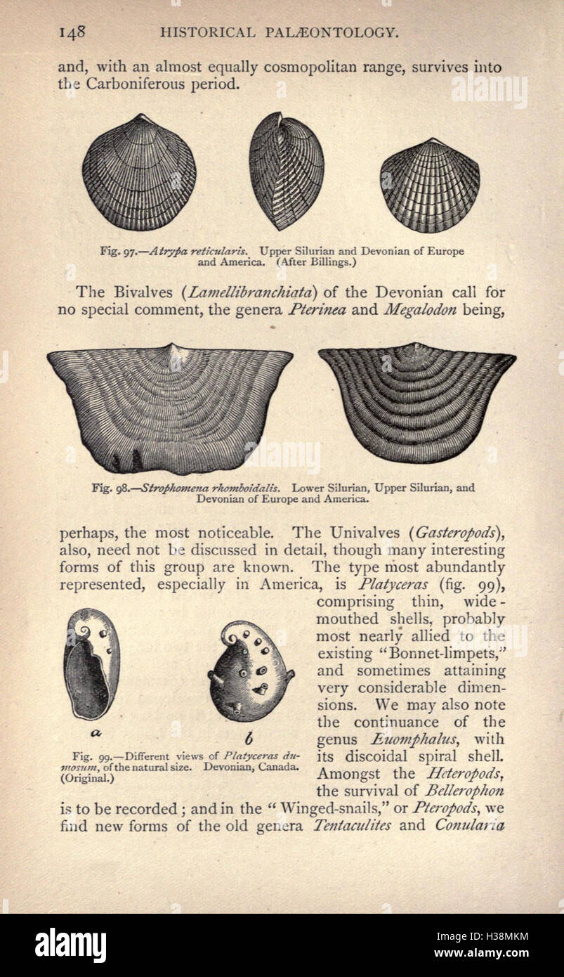 This page provides an overview of the earth's ancient life-history ...