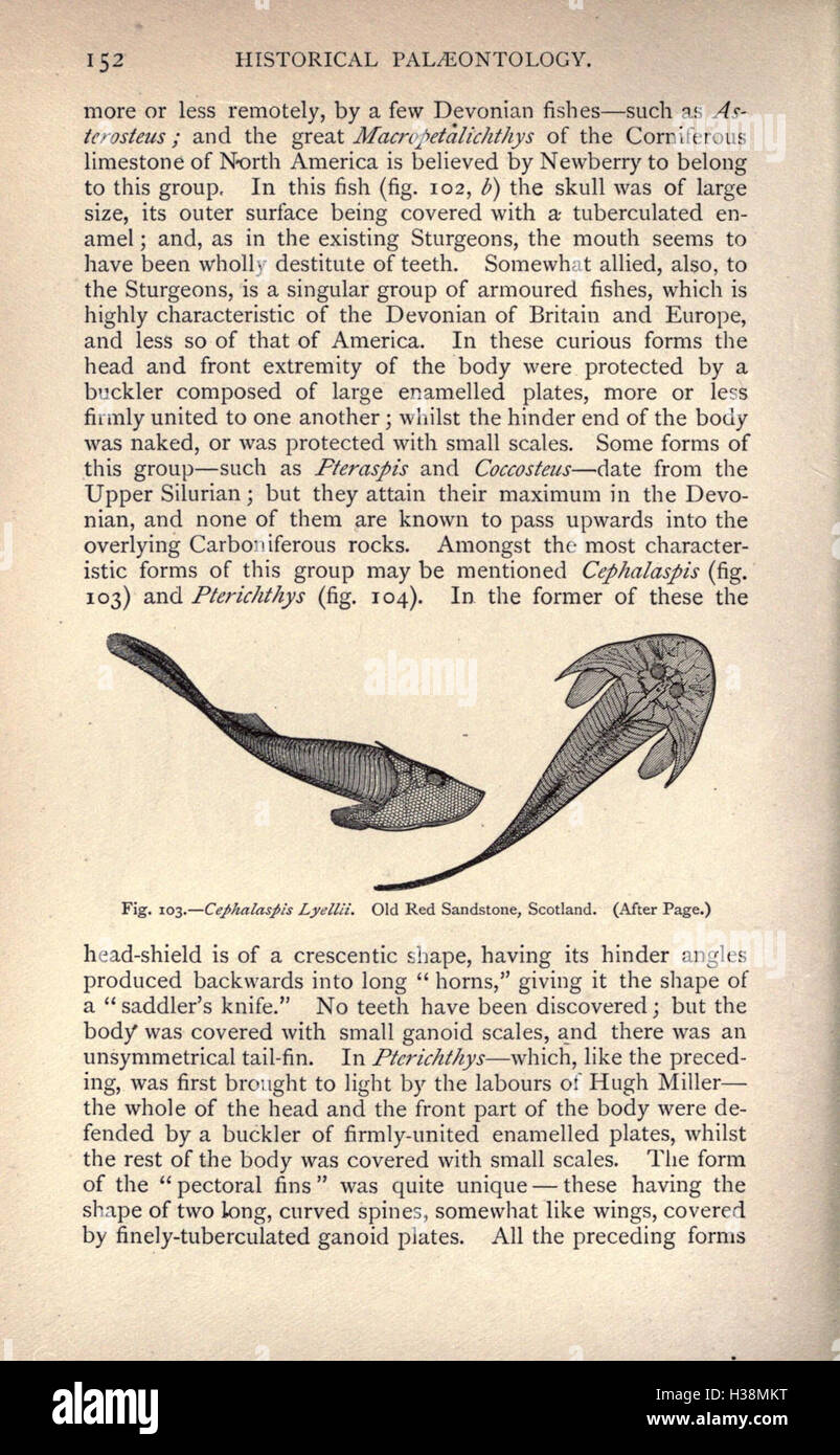 This text provides an overview of the Earth's history, covering major ...